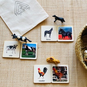 3 - Parts Montessori and Waldorf Learning Farm Animals Sustainable ...