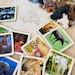 North American Wildlife Matching Game, Montessori Animal Cards, Waldorf ...