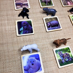 Montessori and Waldorf Learning Baby Zoo Animals Sustainable Match Toys ...