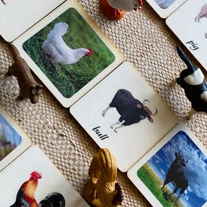 3 - Parts Montessori and Waldorf Learning Farm Animals Sustainable ...