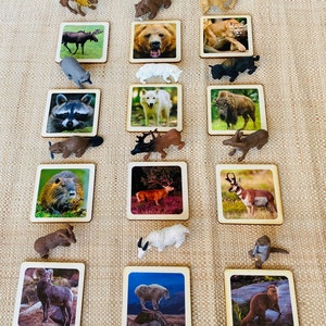North American Wildlife Matching Game, Montessori Animal Cards, Waldorf ...