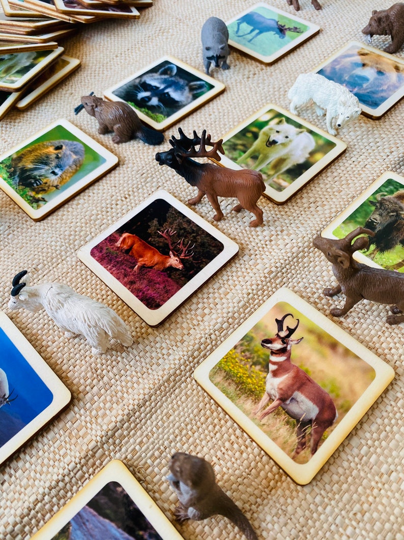 North American Wildlife Animals Montessori and Waldorf - Etsy