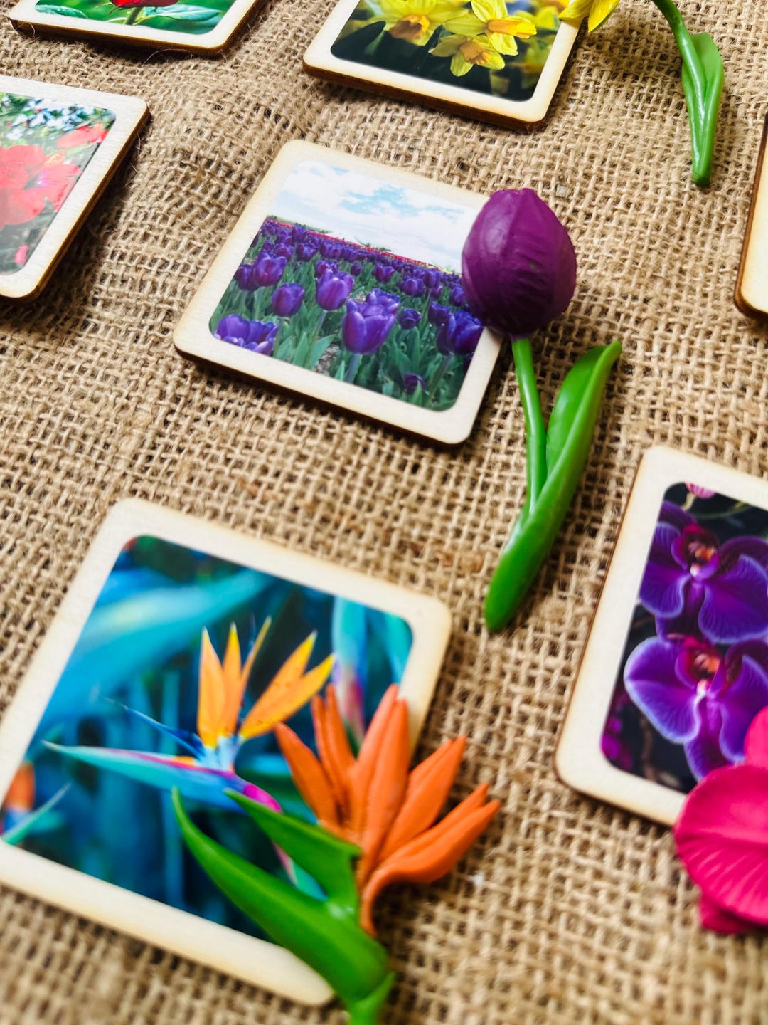 Montessori and Waldorf Learning Flowers Miniature Sustainable Match ...