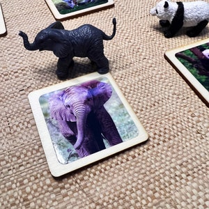 Montessori and Waldorf Learning Baby Zoo Animals Sustainable Match Toys ...