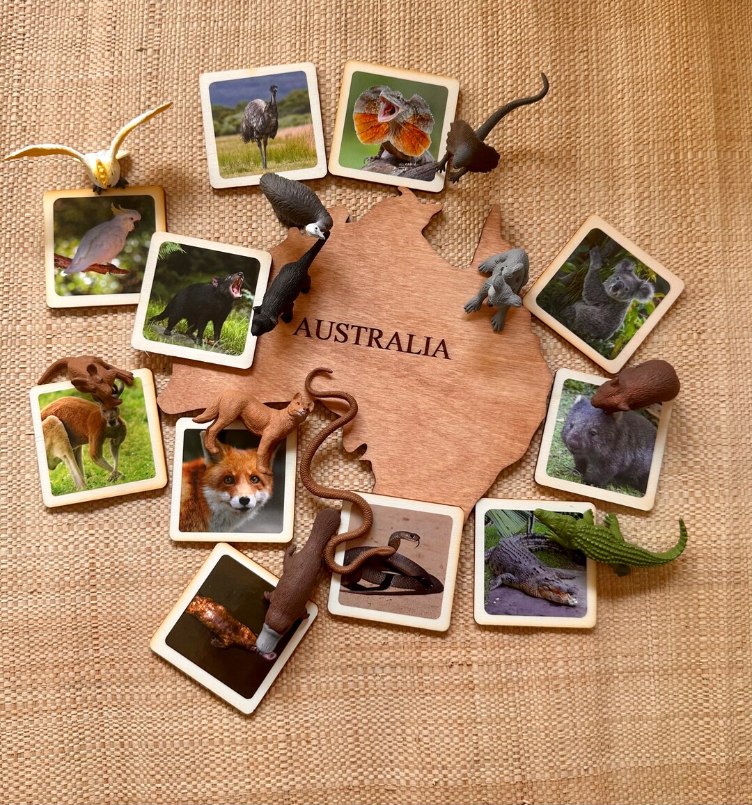Montessori and Waldorf Learning Australian Animals Sustainable Match ...
