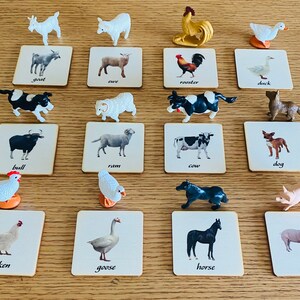 Montessori and Waldorf Learning Farm Animal, Sustainable Match Toys ...