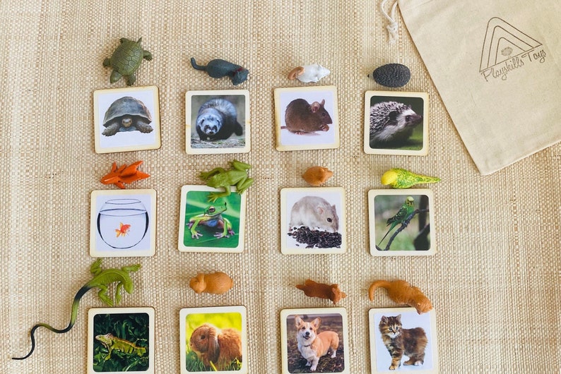 Montessori Safari Animal Matching Cards, Wooden Learning Toy - Etsy