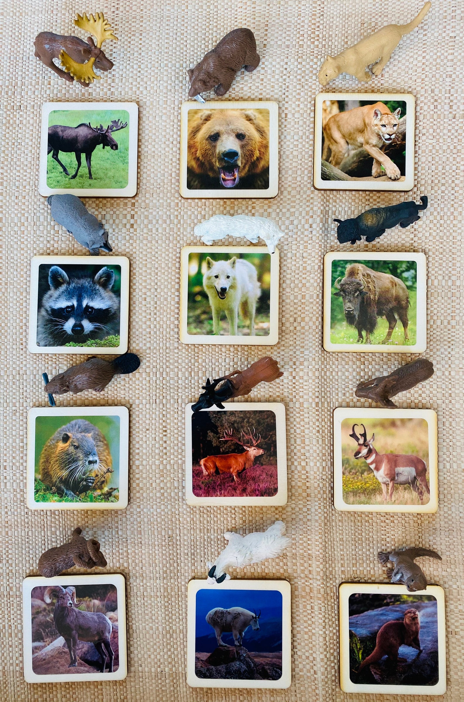 North American Wildlife Animals Montessori and Waldorf - Etsy