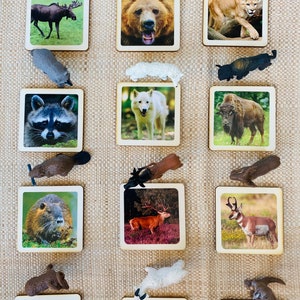North American Wildlife Animals Montessori and Waldorf Inspired ...