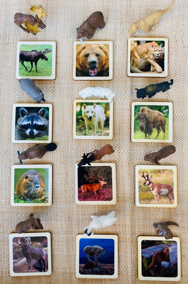North American Wildlife Matching Game, Montessori Animal Cards, Waldorf ...