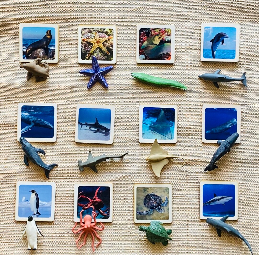 Montessori and Waldorf Learning Sea Life Animals Sustainable Match Toys ...
