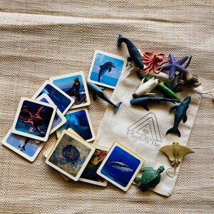 Montessori and Waldorf Learning Sea Life Animals Sustainable Match Toys ...