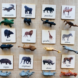 Montessori Wild Animal Matching Game With Wooden Cards - Etsy