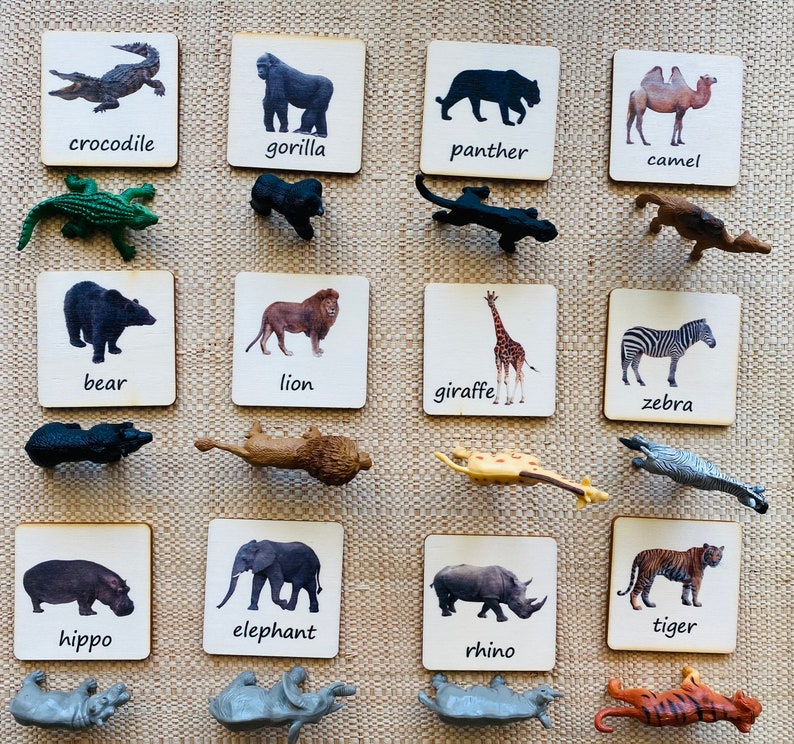 Montessori and Waldorf Learning Wild Animals Sustainable Match - Etsy