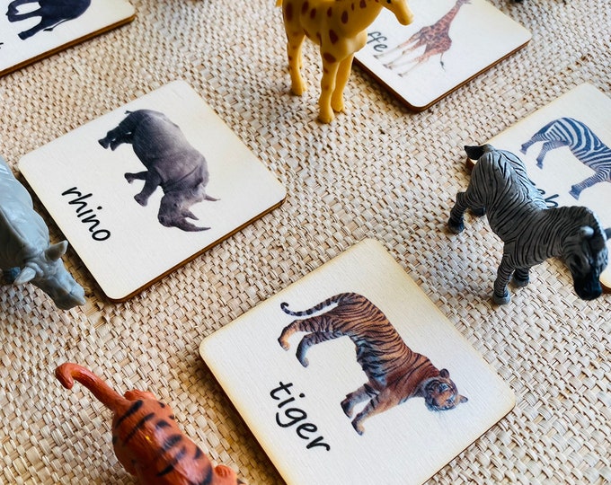 Montessori and Waldorf Learning Wild Animals Sustainable Match Toys ...