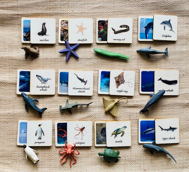 3 Parts Montessori and Waldorf Learning Sea Life Animals - Etsy
