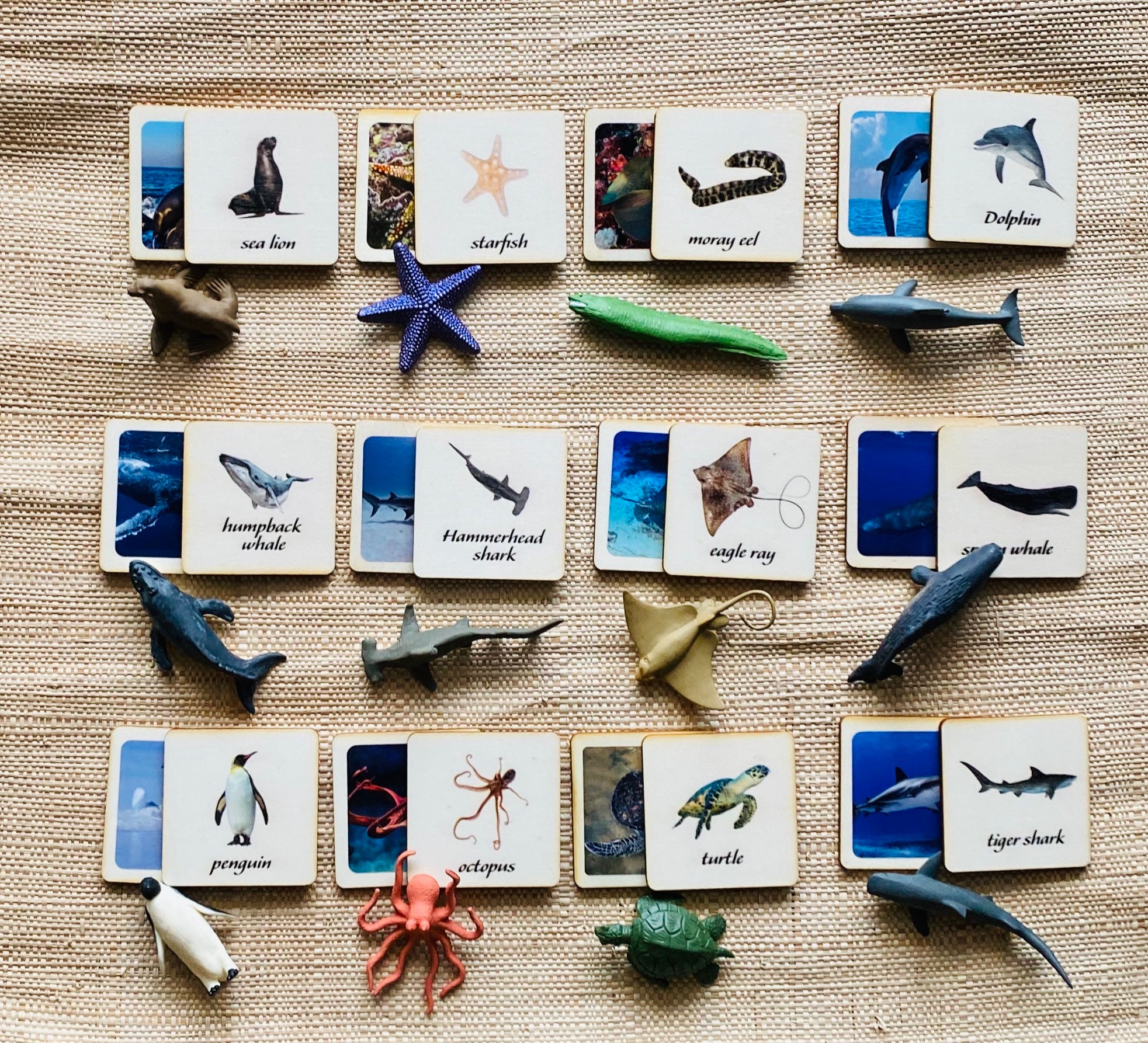 Montessori Sea Life Matching Game – Wooden Animal Cards - Etsy