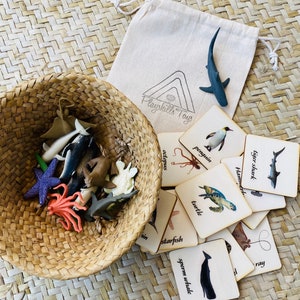 Montessori and Waldorf Learning Sea Life Animals Sustainable Match Toys ...