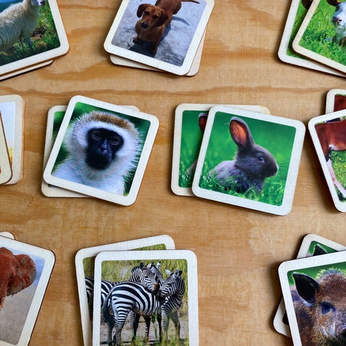 Wooden Memory Game Montessori and Waldorf Inspired Matching | Etsy