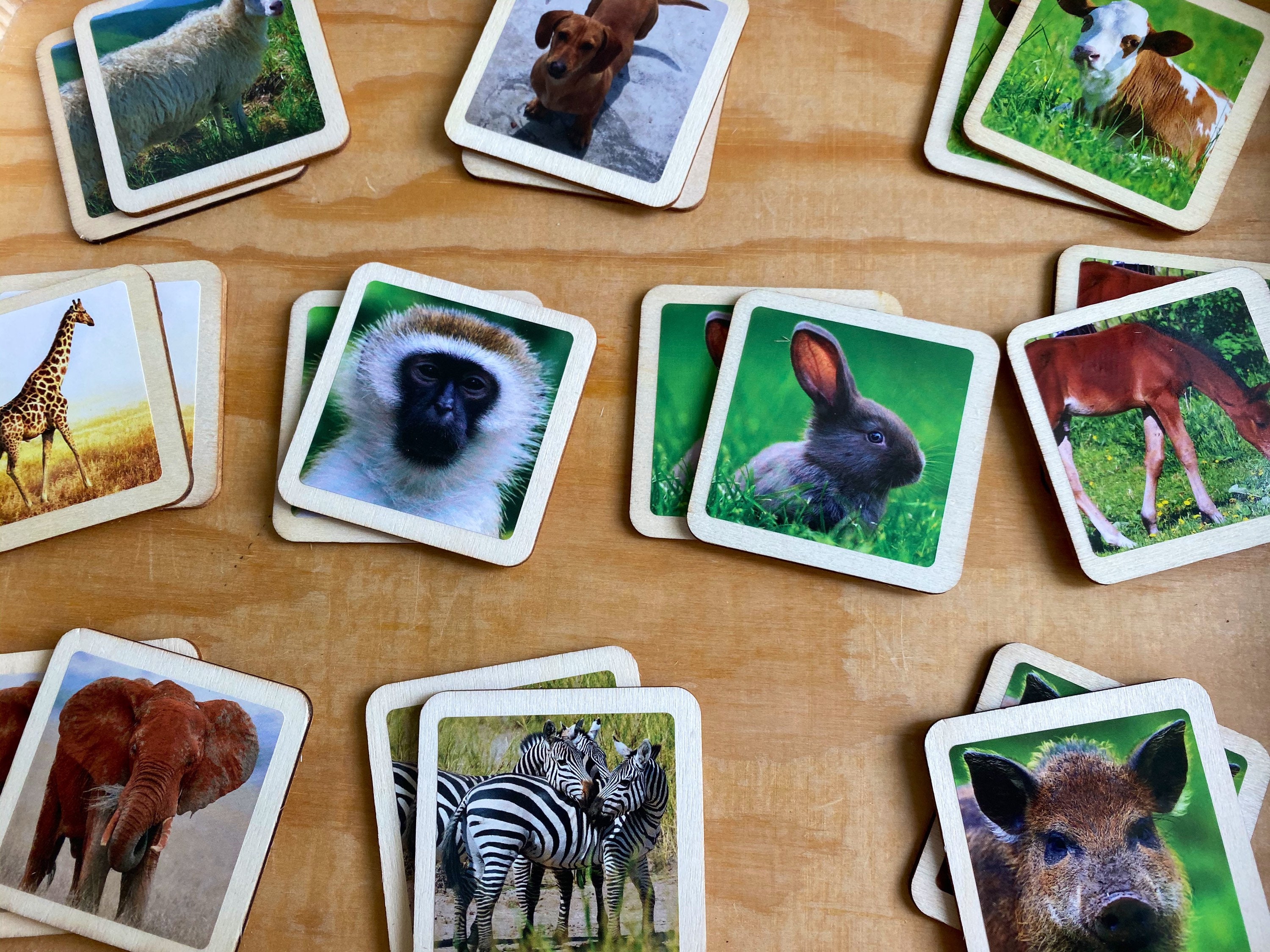 Wooden Memory Game Montessori and Waldorf Inspired Matching - Etsy