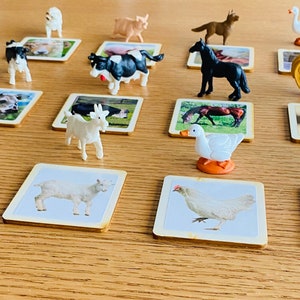 Montessori and Waldorf Learning Farm Animal Sustainable Match Toys ...