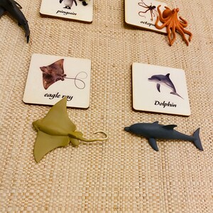 Montessori and Waldorf Learning Sea Life Animals Sustainable Match Toys ...