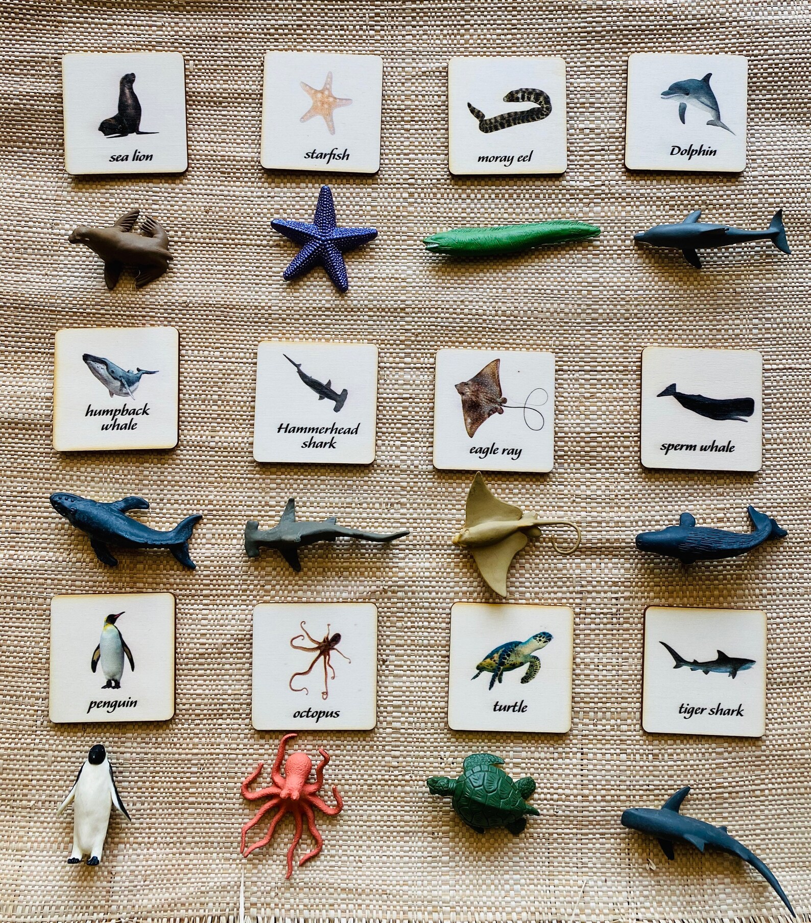 Montessori and Waldorf Learning Sea Life Animals Sustainable - Etsy
