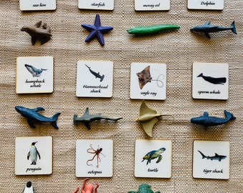 Montessori and Waldorf Learning Wild Animals Sustainable Match Toys ...