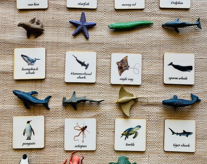 Montessori and Waldorf Learning Sea Life Animals Sustainable Match Toys ...