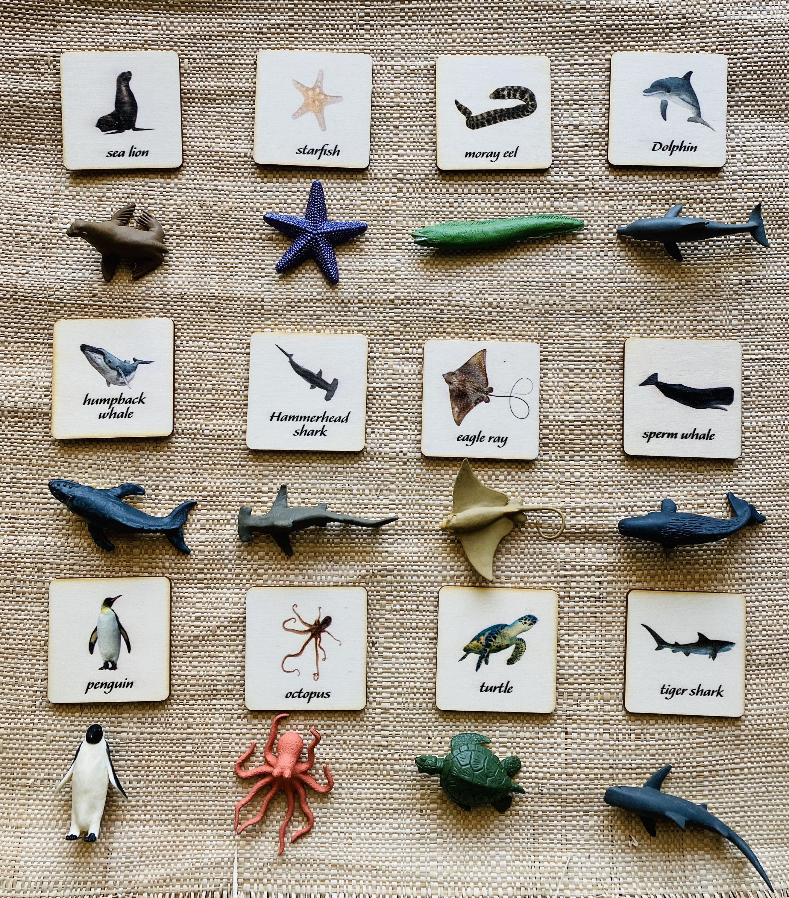 Sea Life Animal Montessori Matching Cards, Homeschool Learning - Etsy