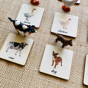 Montessori and Waldorf Learning Farm Animal, Sustainable Match Toys ...