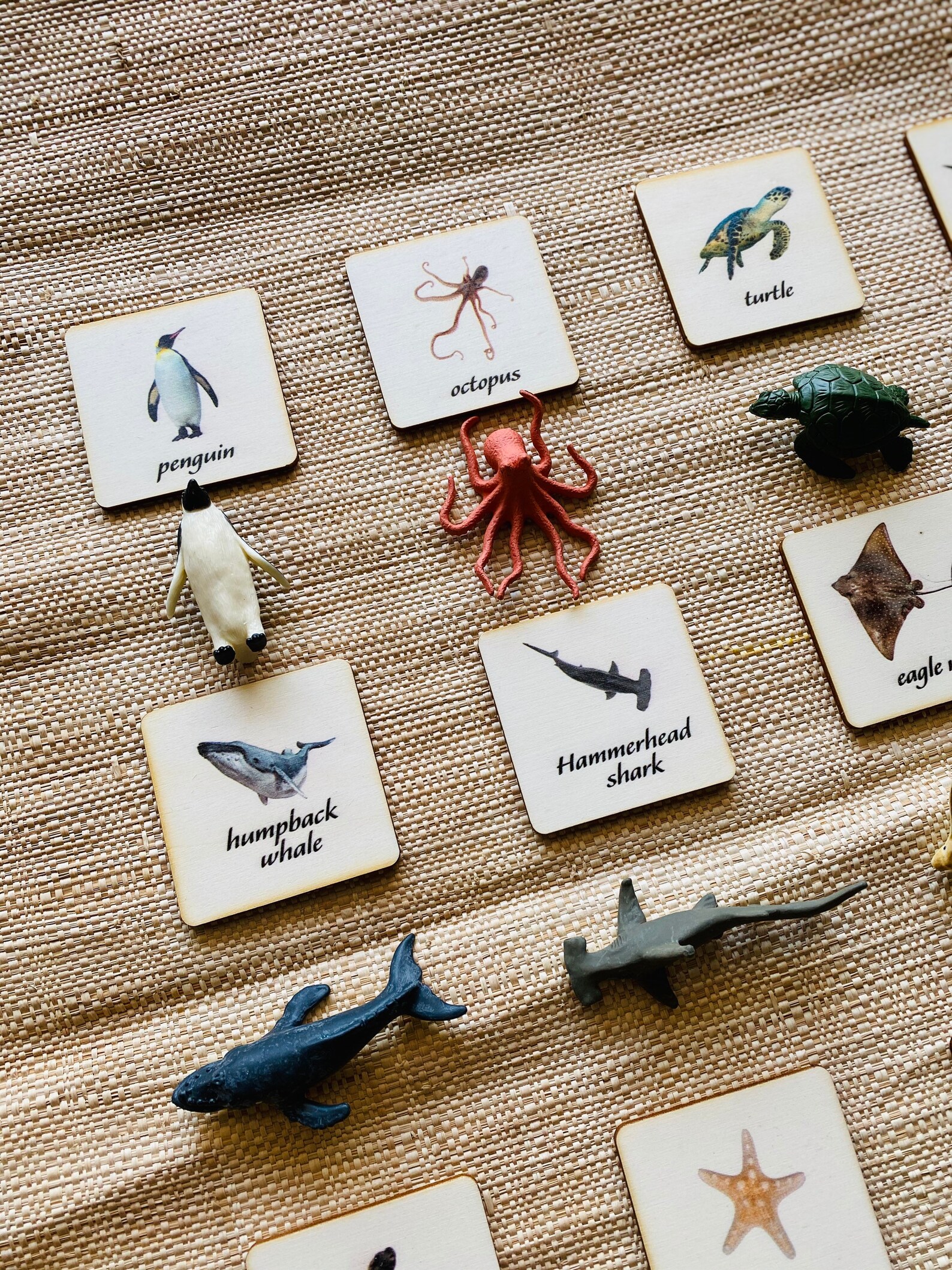 Montessori and Waldorf Learning Sea Life Animals Sustainable Match Toys ...