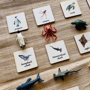 Montessori and Waldorf Learning Sea Life Animals Sustainable Match Toys ...