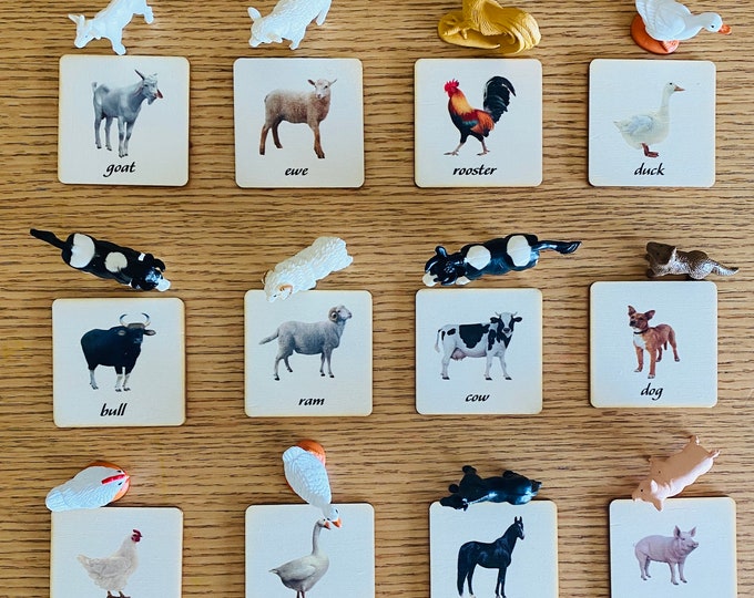 Montessori and Waldorf Learning Farm Animal, Sustainable Match Toys ...