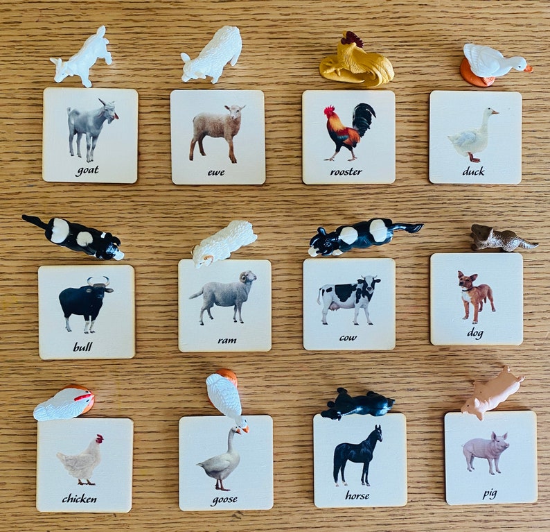 Montessori Farm Animal Matching Cards, Homeschool Learning Toys - Etsy