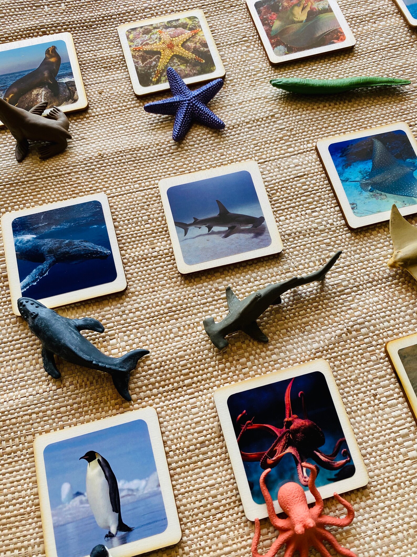 Montessori and Waldorf Learning Sea Life Animals Sustainable Match Toys ...