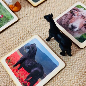 Montessori and Waldorf Learning Farm Animal Sustainable Match Toys ...