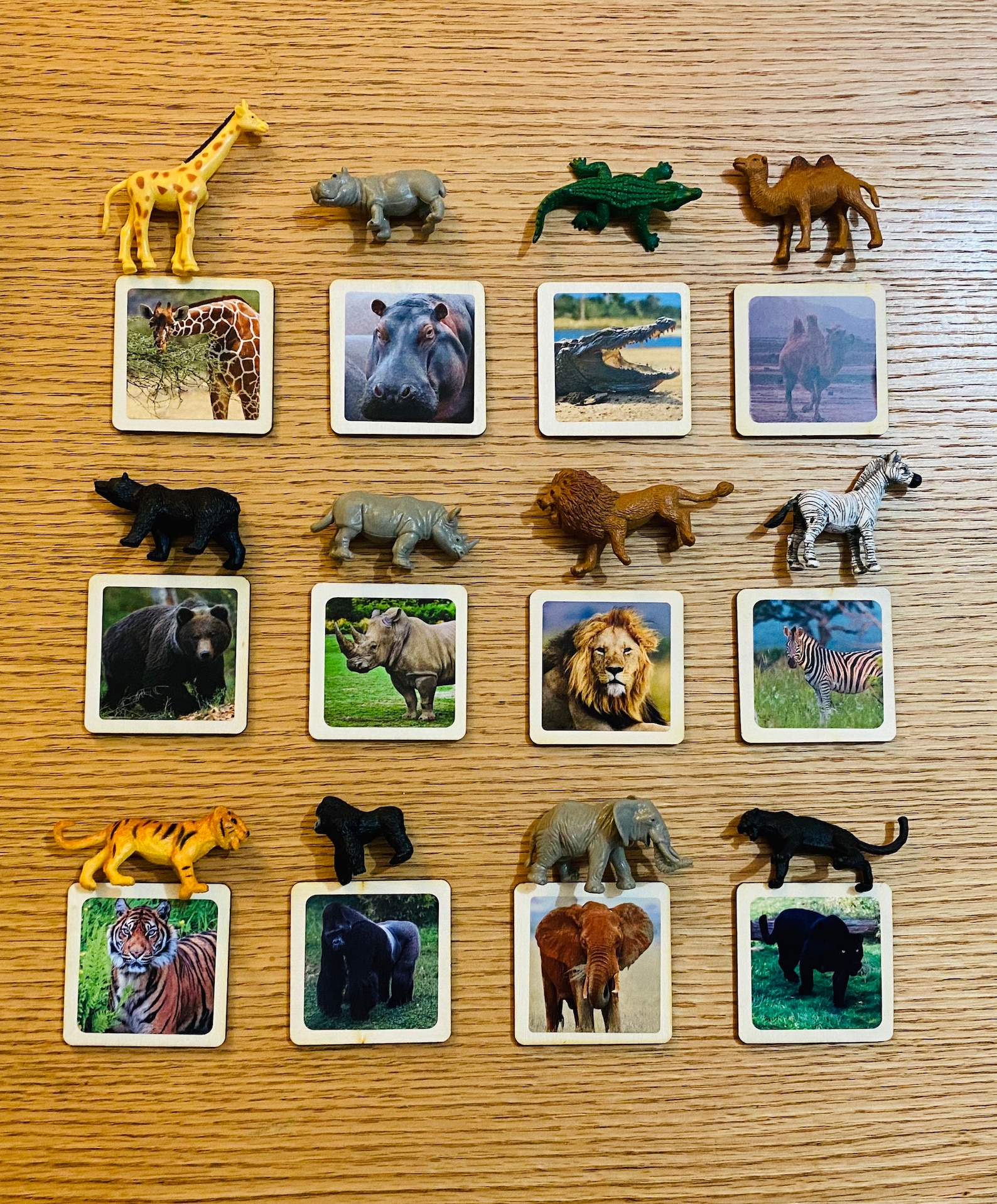 Montessori Wild Animal Matching Game, Safari TOOB, Wooden Toy - Etsy