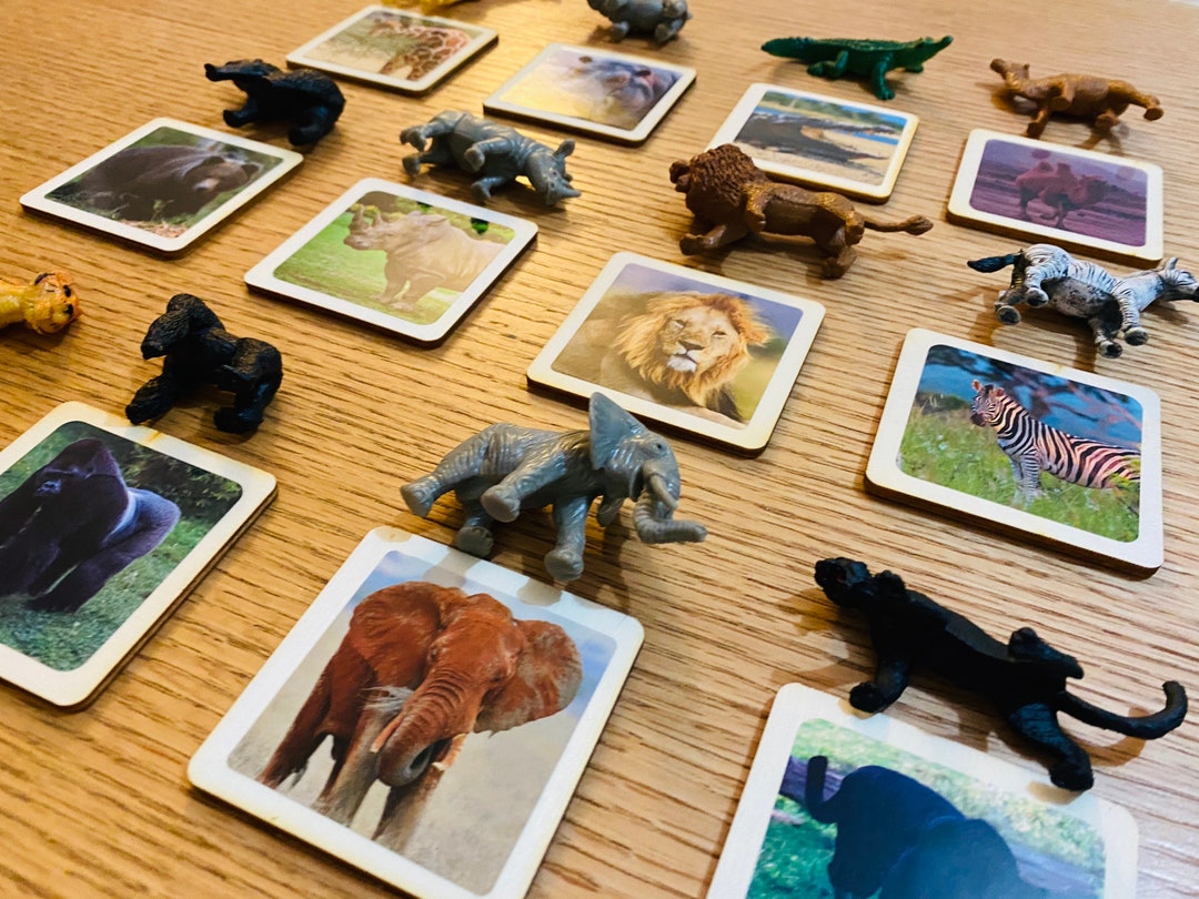 Montessori Wild Animals With Figurines Safari Toob Ltd , Matching Game ...