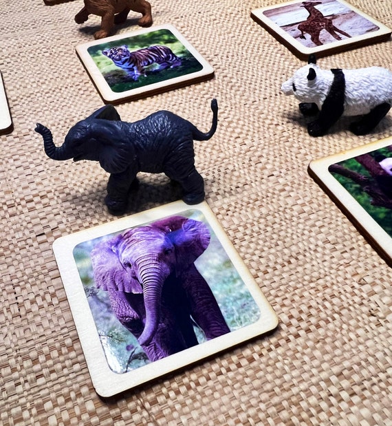 Montessori and Waldorf Learning Baby Zoo Animals Sustainable - Etsy