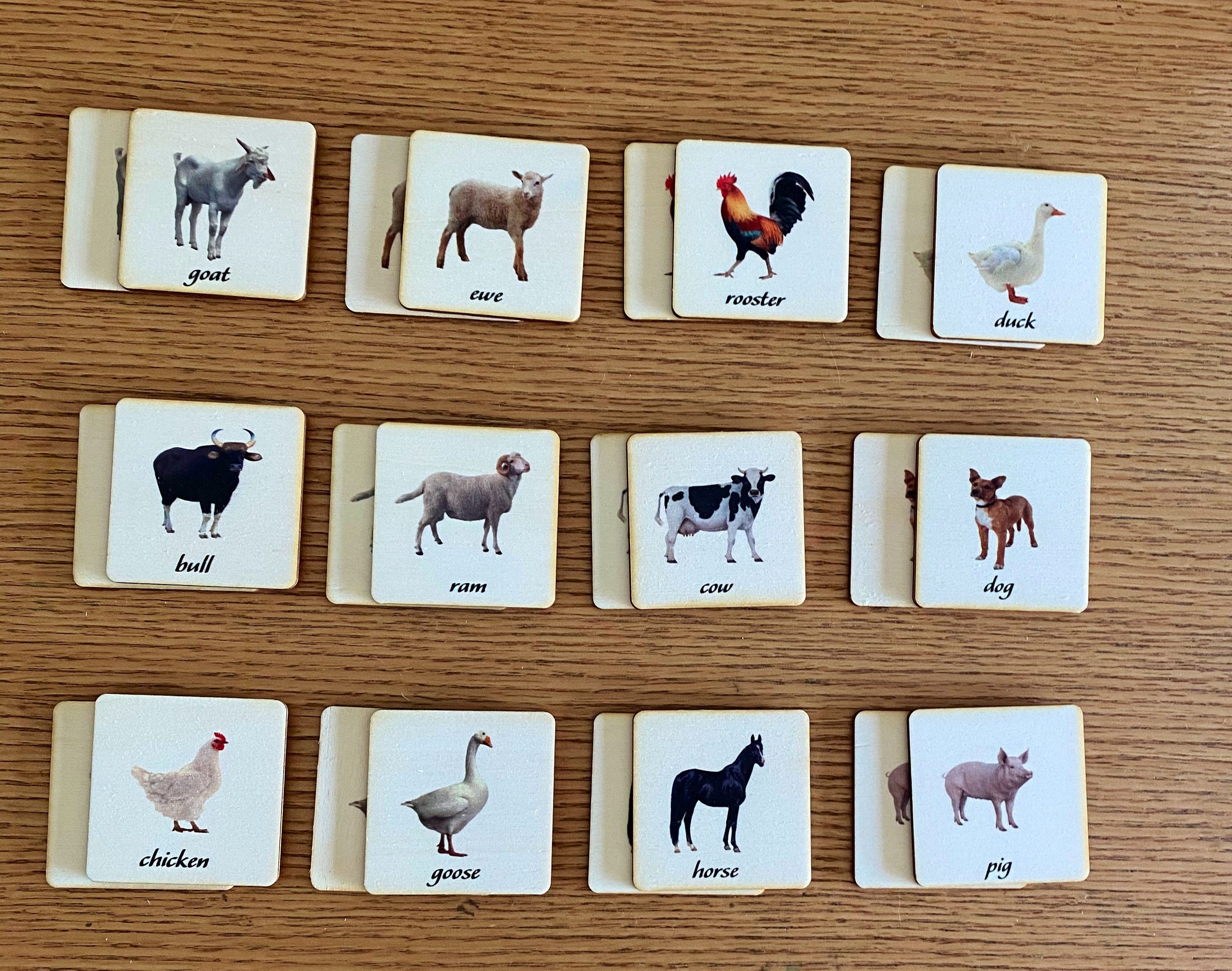 Montessori Memory Game Learning Farm Animals. - Etsy