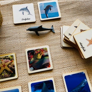 3 - Parts Montessori and Waldorf Learning Sea Life Animals Sustainable ...