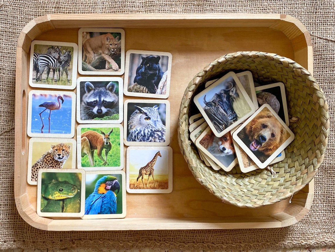 50 Flash Cards Montessori Waldorf Reggio Learning Toy - Etsy