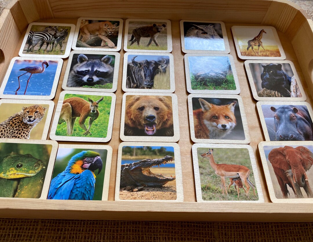20 Flash Cards Wild and Farm Animals Mixed - Etsy