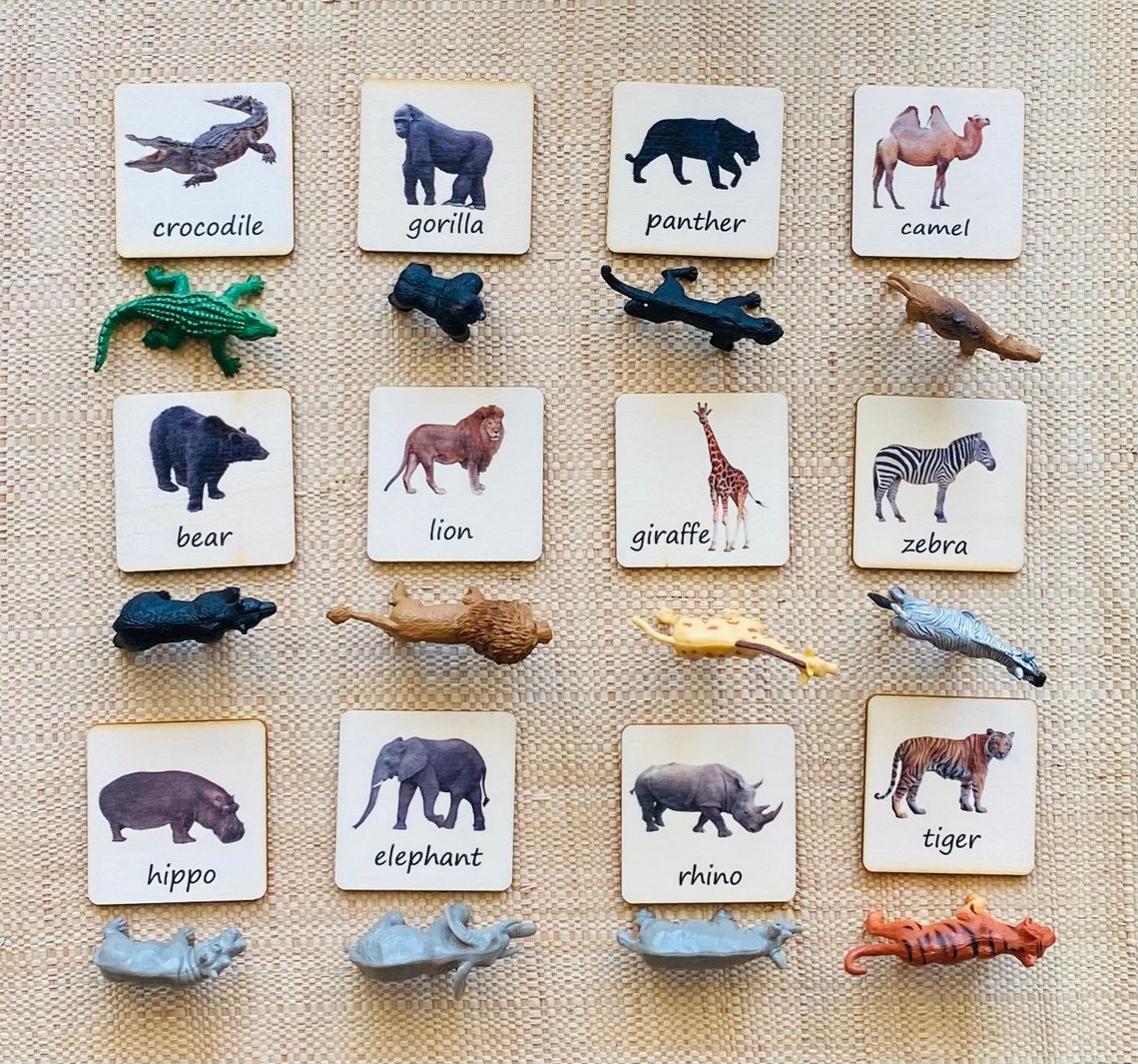 Montessori and Waldorf Learning Wild Animals Sustainable Match - Etsy