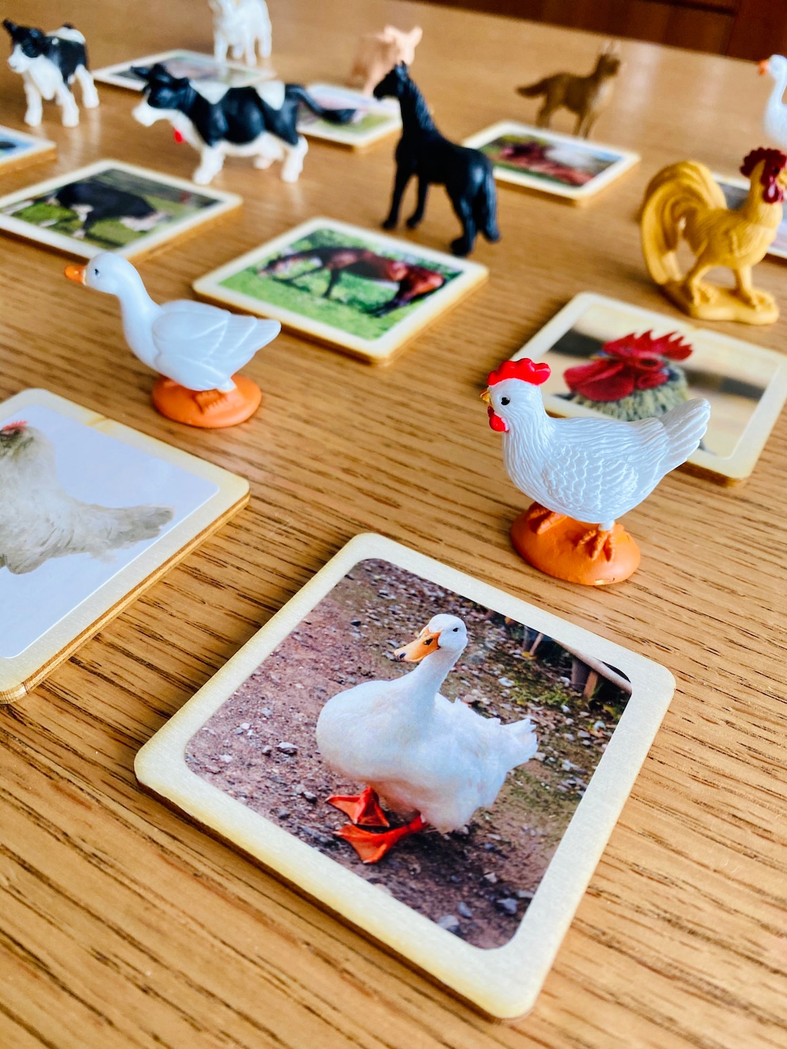 Montessori and Waldorf Learning Farm Animal Sustainable Match Toys ...