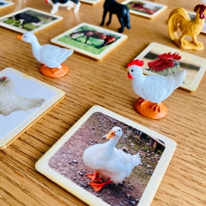 Montessori and Waldorf Learning Farm Animal Sustainable Match Toys ...