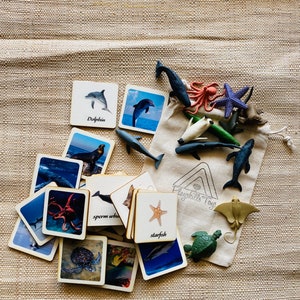 3 - Parts Montessori and Waldorf Learning Sea Life Animals Sustainable ...