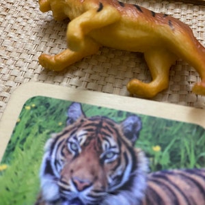 Montessori Wild Animals With Figurines Safari Toob Ltd , Matching Game ...