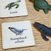 Montessori and Waldorf Learning Sea Life Animals Sustainable Match Toys ...